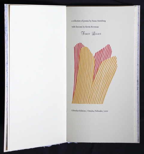 Books | Susan Aizenberg